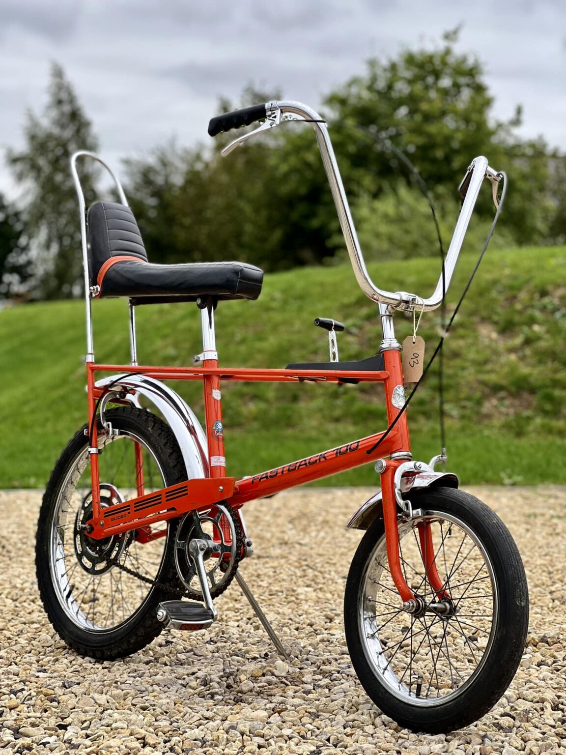 Hall of Fame - Raleigh UK Ltd